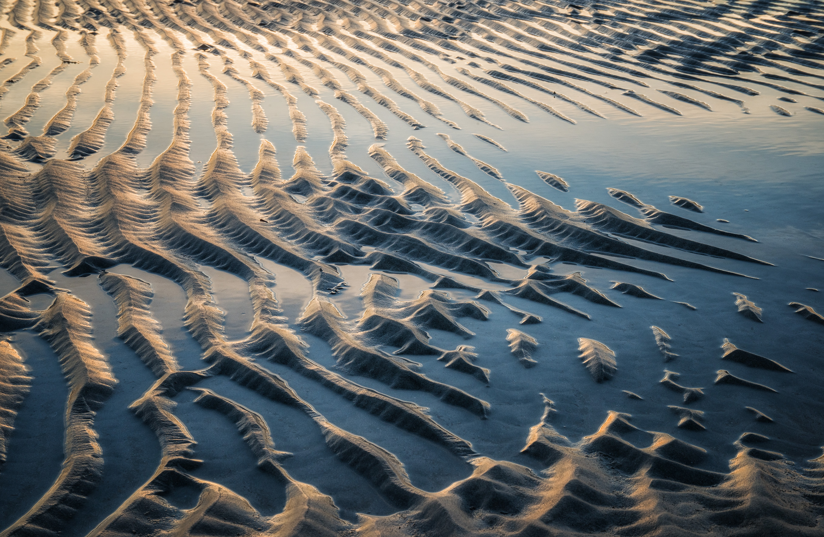 How Do Tidal Pools Work at Tina Lown blog